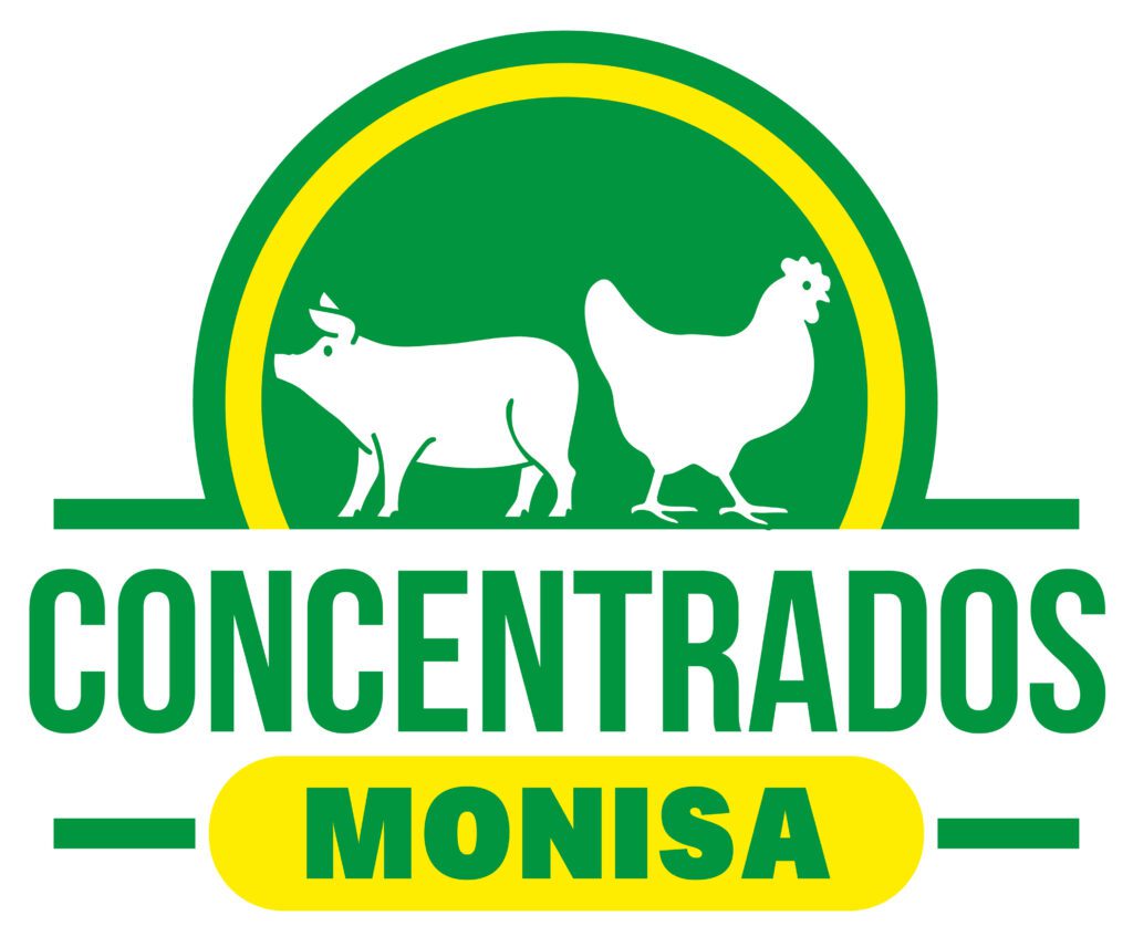 Monisa - Confiando en el potencial nicaragüense